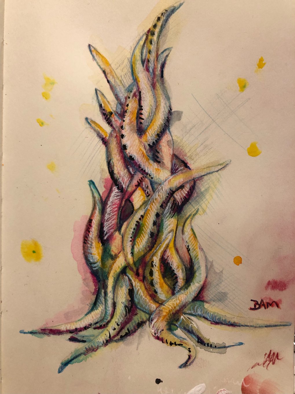An eye for the beautiful